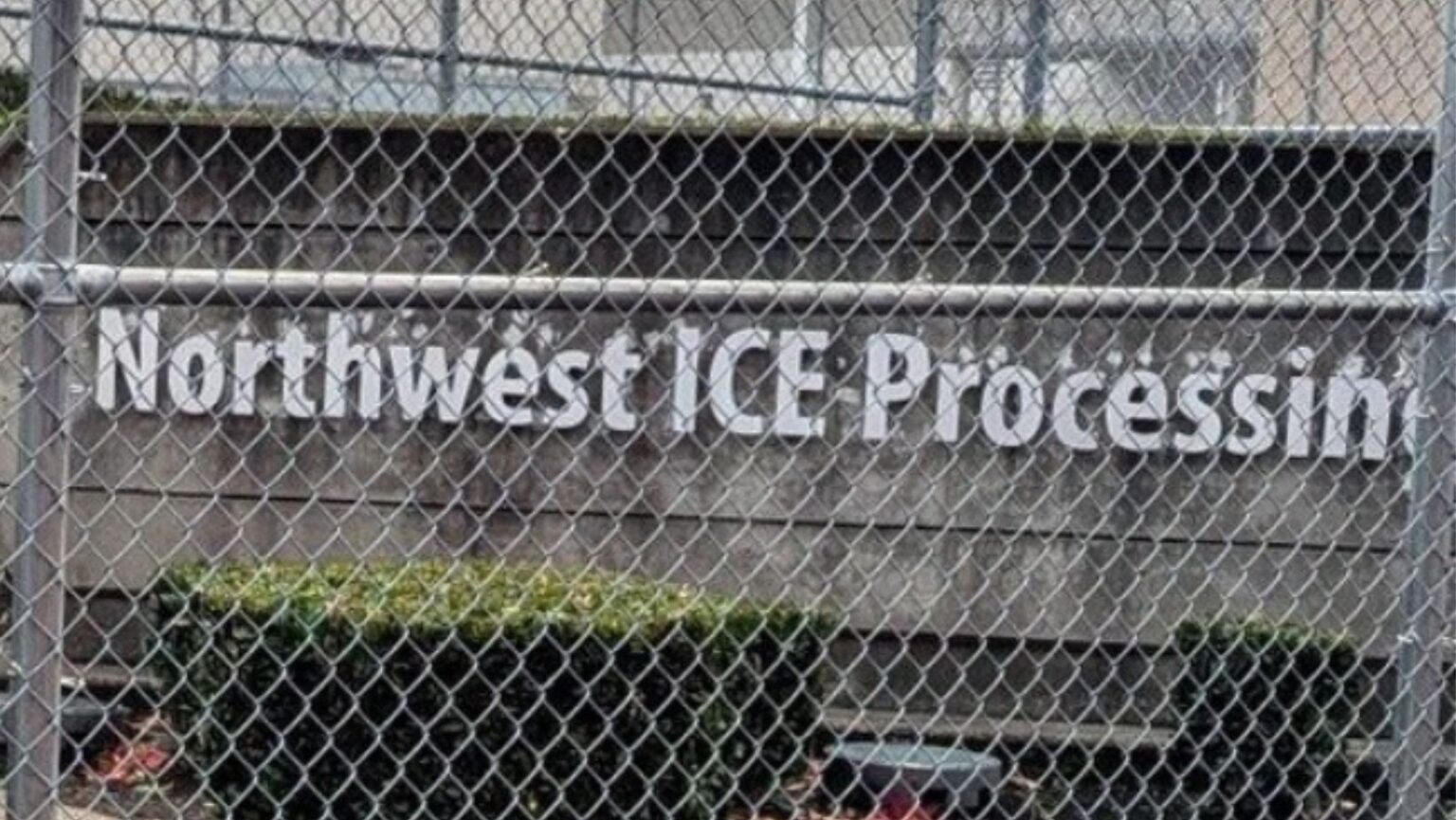 Tcasos sospechosos de tuberculosis Tacoma ICE
